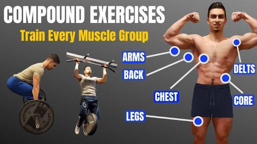 Compound Exercise – GENETIX